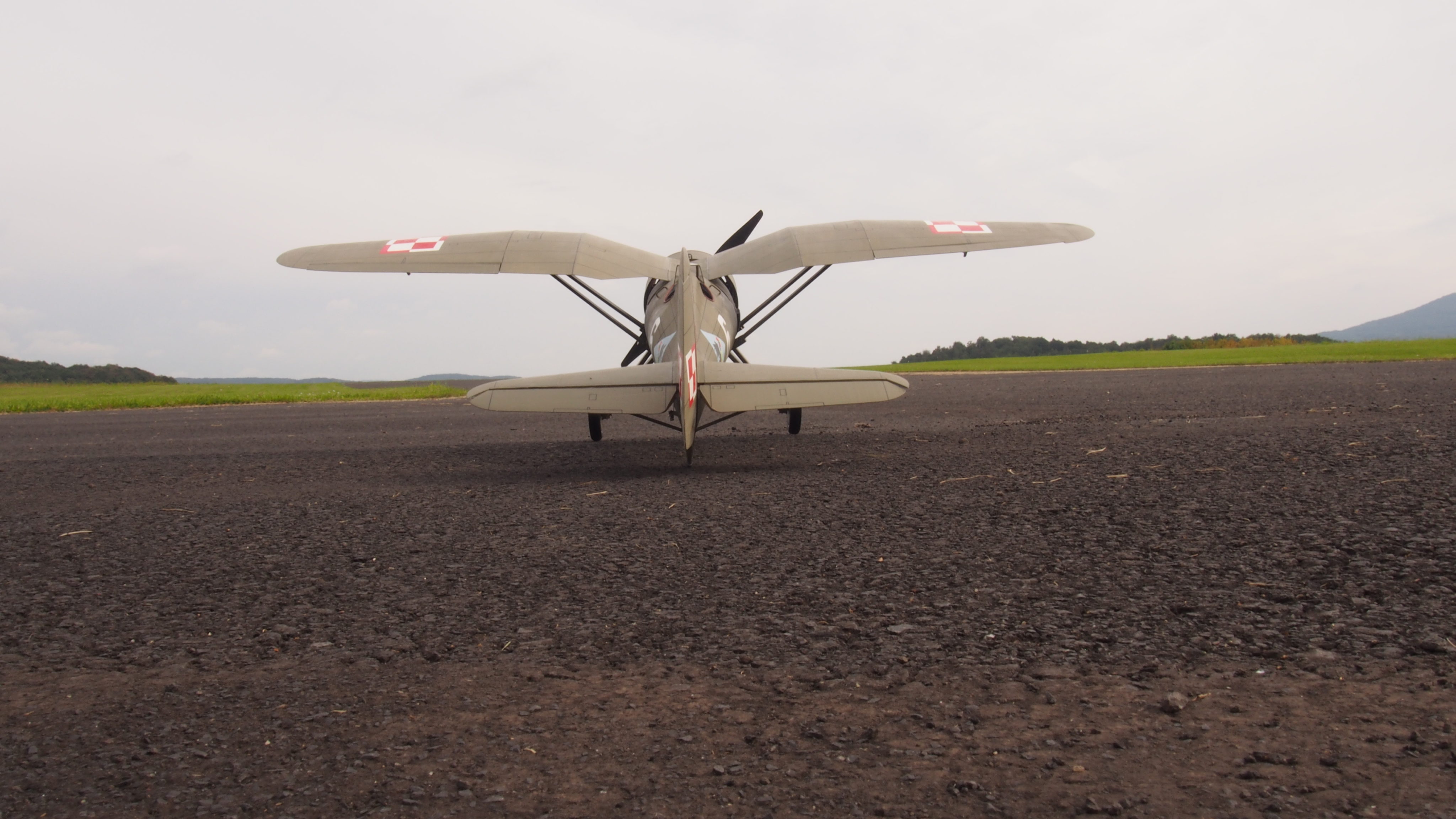 PZL P.11 Printable Airplane RC Model | print-beat.com